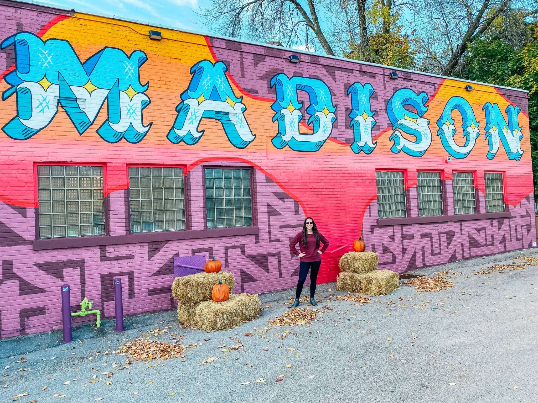 TOP 3 MURALS IN MADISON, WISCONSIN – Journey With J