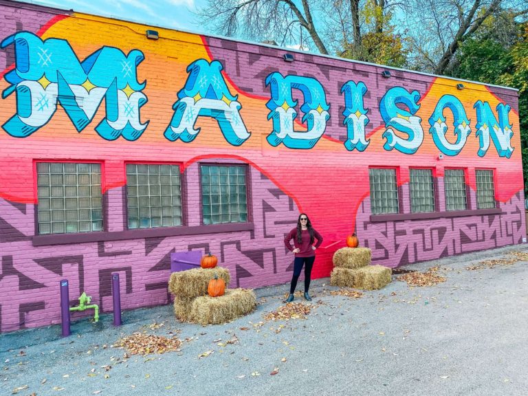 TOP 3 MURALS IN MADISON, WISCONSIN – Journey With J